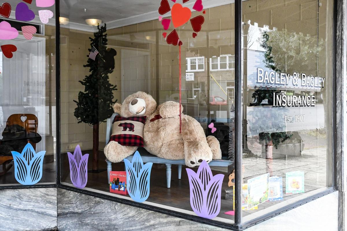 bear hunt wall display