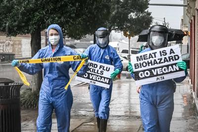 peta protest schedule