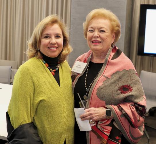 El Paso mental health leaders host reception for Meadows institute ...