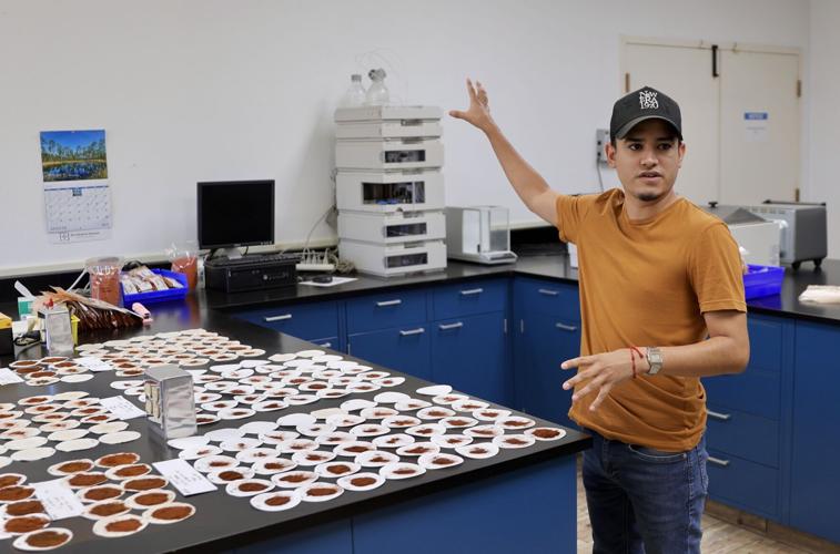 New Mexico farmers struggle with drought, labor shortages | Local News ...