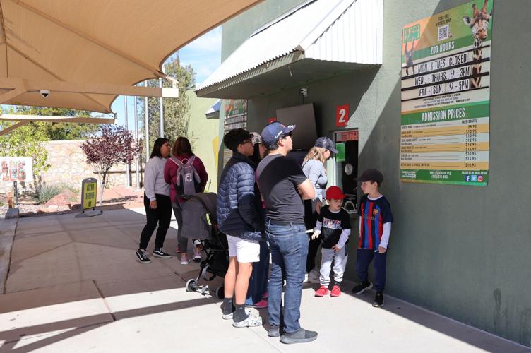 El Paso Zoo faces fresh controversy as it loses accreditation ...