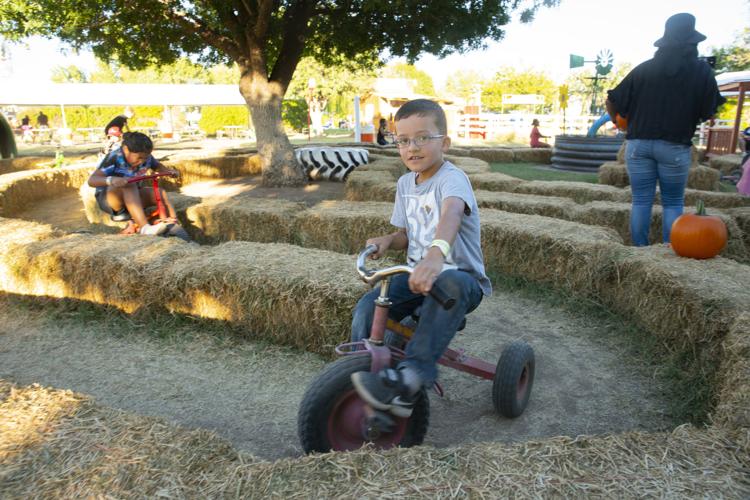 October Fun : Corn mazes, haunted houses, trick-or-treating and more ...