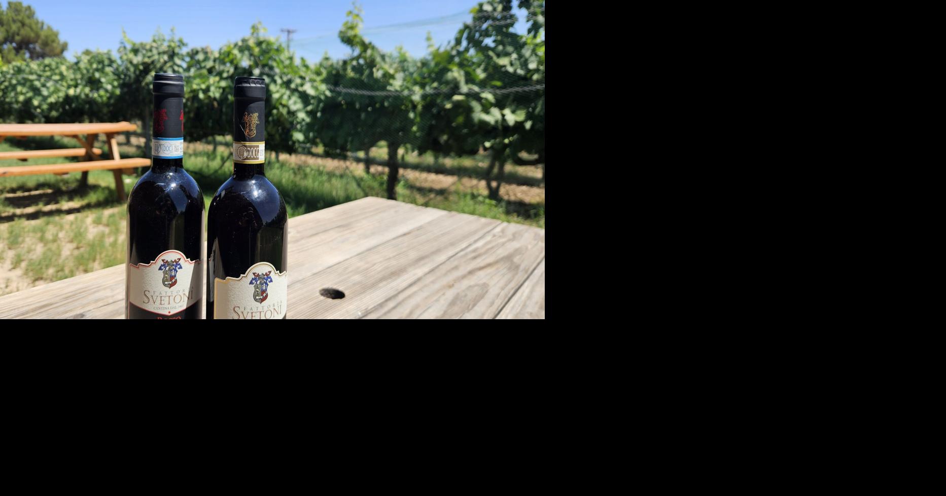 Understanding Italian wine classifications: DOC & DOCG | Local Features ...