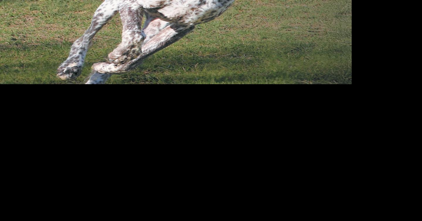 Wildest Spirit: Hunter | Magazine | elpasoinc.com