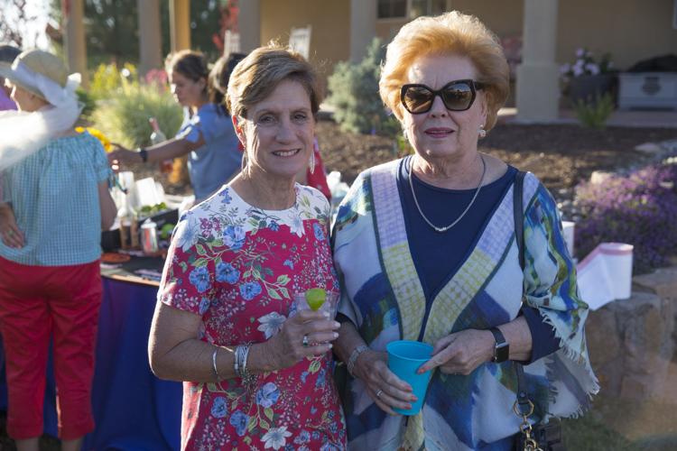 Susan Guerra honored at annual Round Up fundraiser | Lifestyle ...