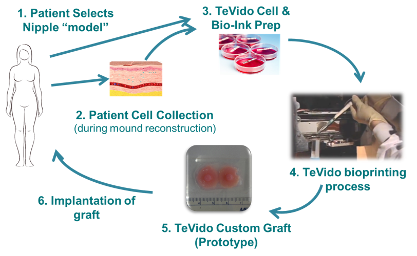 Startup gets grants to print body parts | Local News | elpasoinc.com