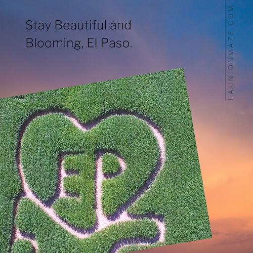 Get lost in fun at mazes, pumpkin patches | Local Features | elpasoinc.com