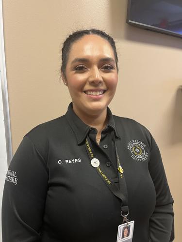 El Paso County Animal Welfare presses on after director’s exit | Local ...