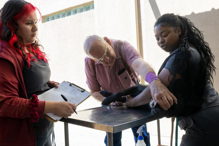 A day in the life of Father/son veterinarians at Eastwood Animal Clinic ...