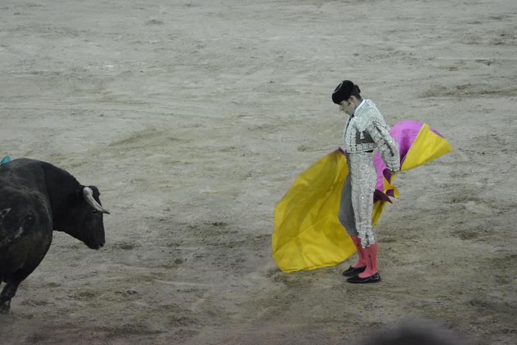 Toros, matadores and drama in Juárez bullring | Local Features ...