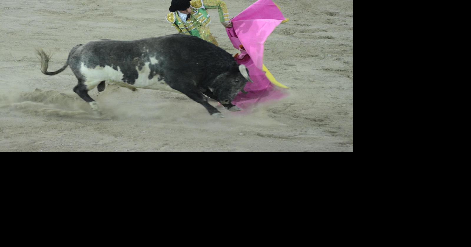 Toros, matadores and drama in Juárez bullring | Local Features ...