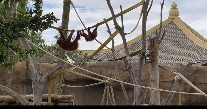 City parks, spray parks, museums start to open | Lifestyle | elpasoinc.com