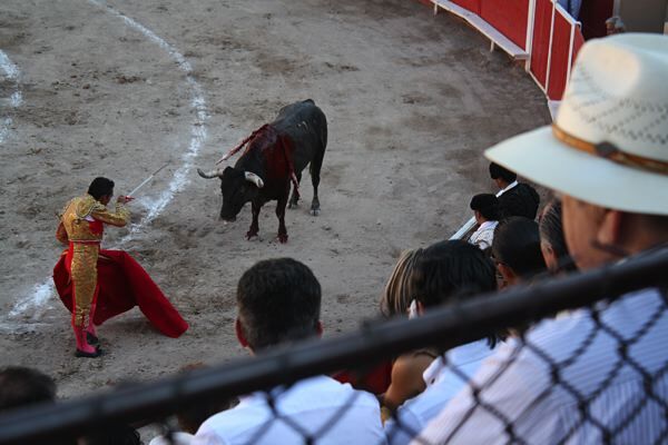 Juarez bullfights fuel ongoing debate: Is it culture, or torture ...