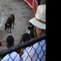 Juarez bullfights fuel ongoing debate: Is it culture, or torture ...