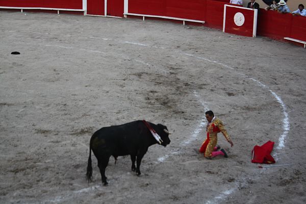 Juarez bullfights fuel ongoing debate: Is it culture, or torture ...