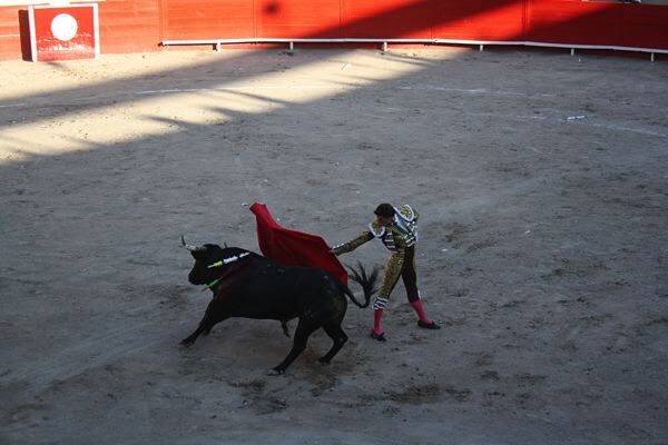 Juarez bullfights fuel ongoing debate: Is it culture, or torture ...