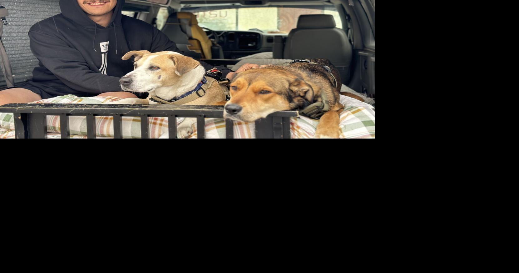 Owner pulls doorbell-ringing dog from contest | Local News | elpasoinc.com