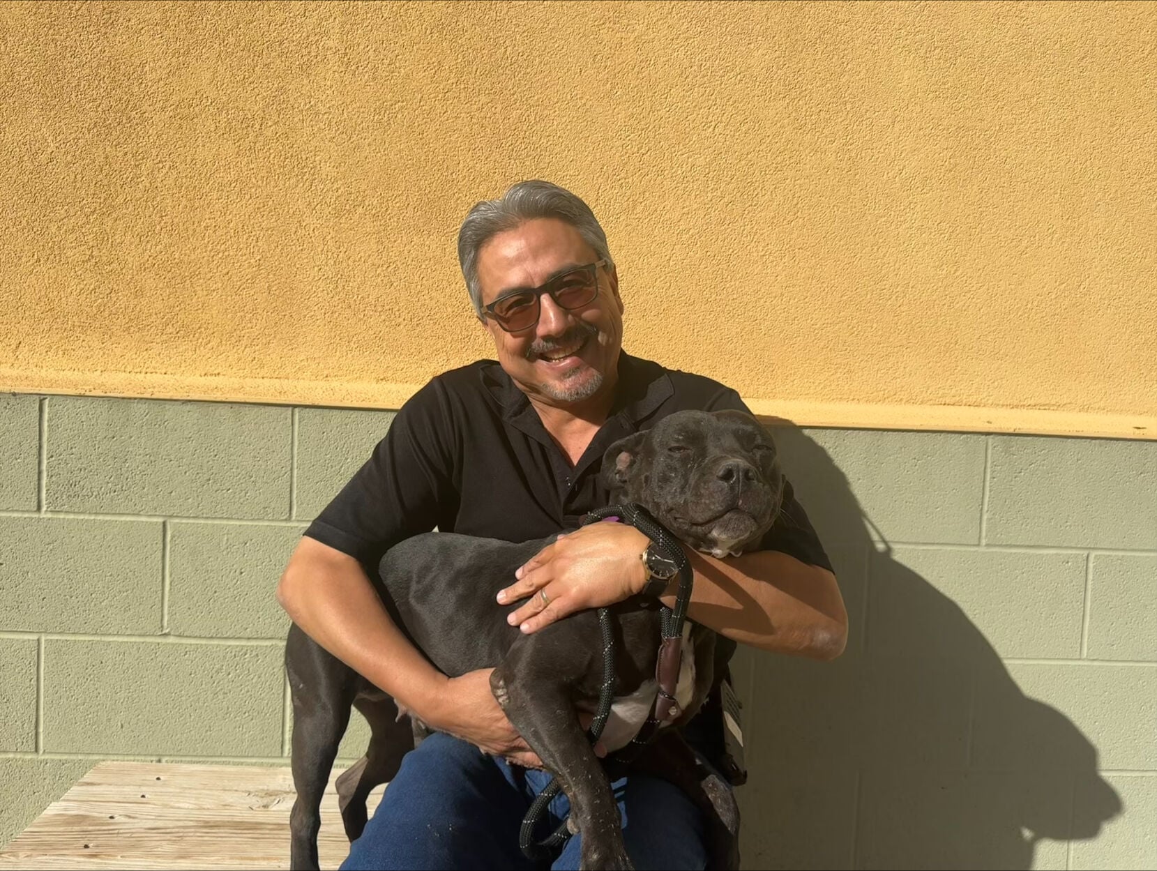 Humane Society of El Paso names executive director | Local News ...