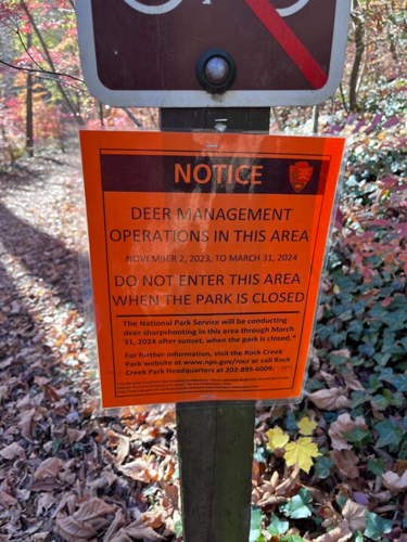 The latest secret government mission in Washington, D.C.? Taking out ...