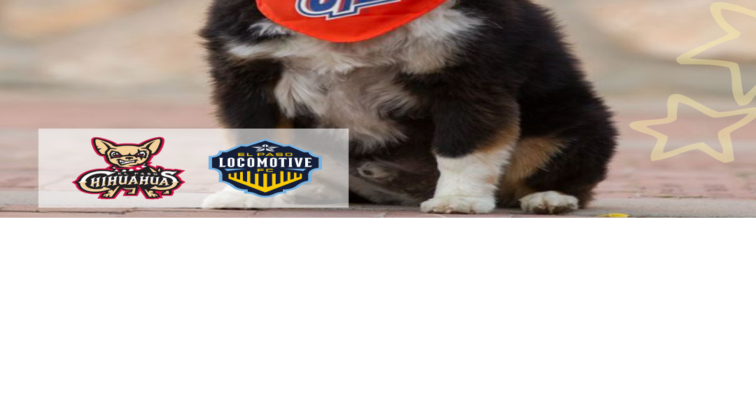 Chuco Spirit: Toby | Pets | elpasoinc.com