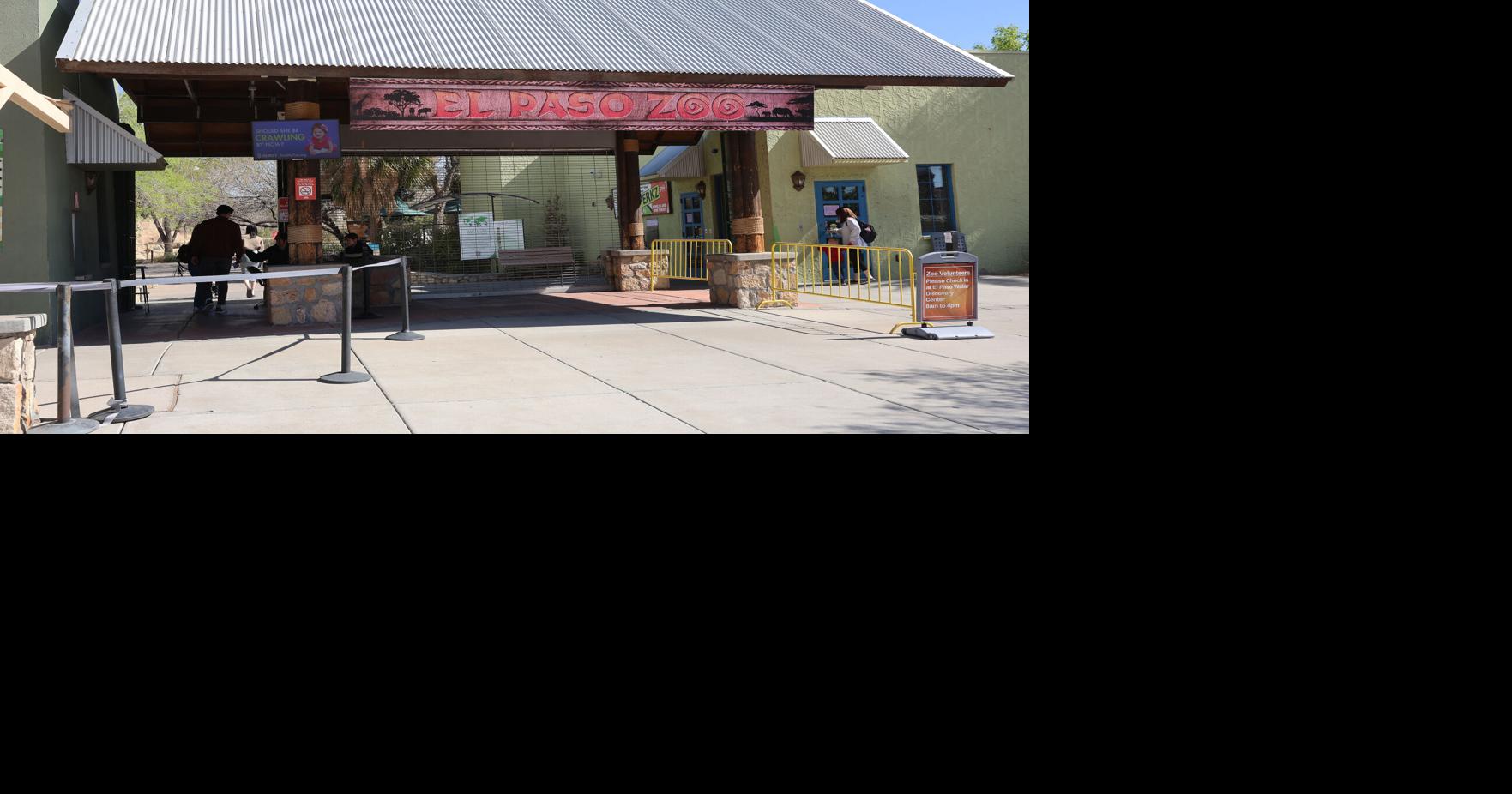 El Paso Zoo faces fresh controversy as it loses accreditation ...