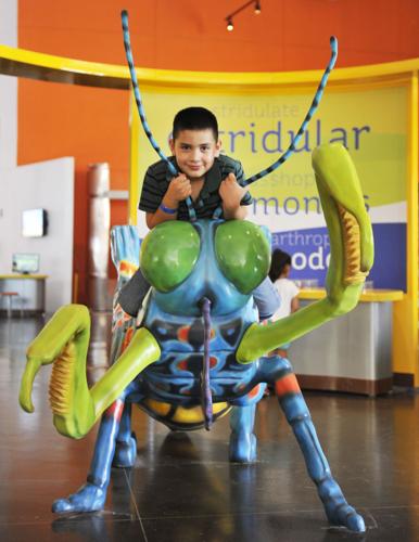 Inside La Rodadora, children’s museum in Juárez | Multimedia ...