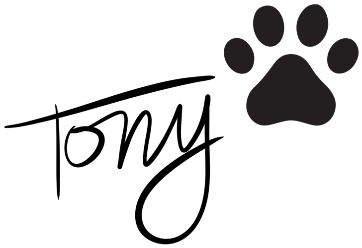 Welcome to Tony the Tiger Sun Bowl | Local Features | elpasoinc.com