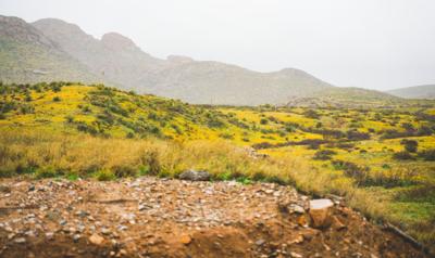 City revives effort to create Castner Range National Monument | Local ...