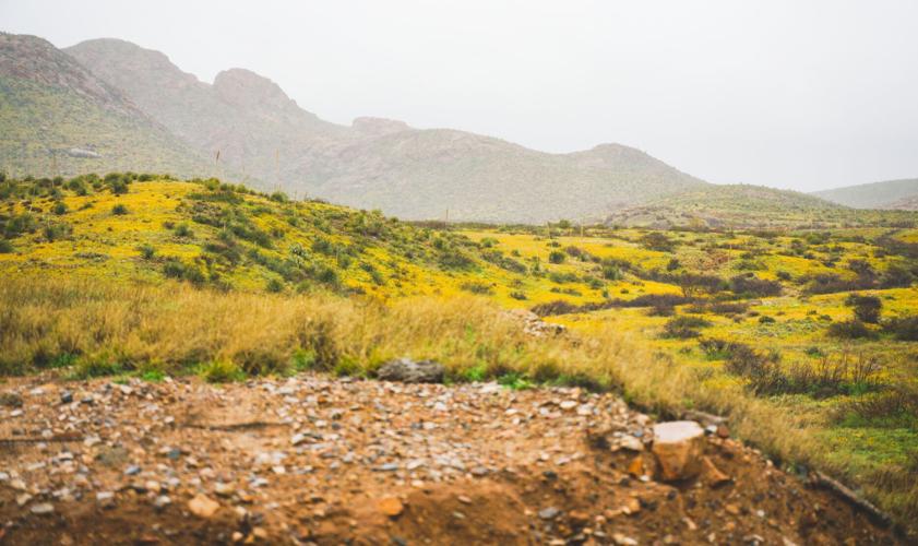 City revives effort to create Castner Range National Monument | Local ...