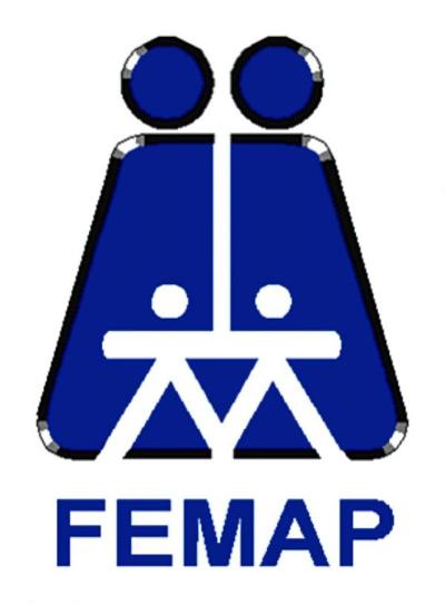 FEMAP Foundation has receives two grants | Business Announcements ...
