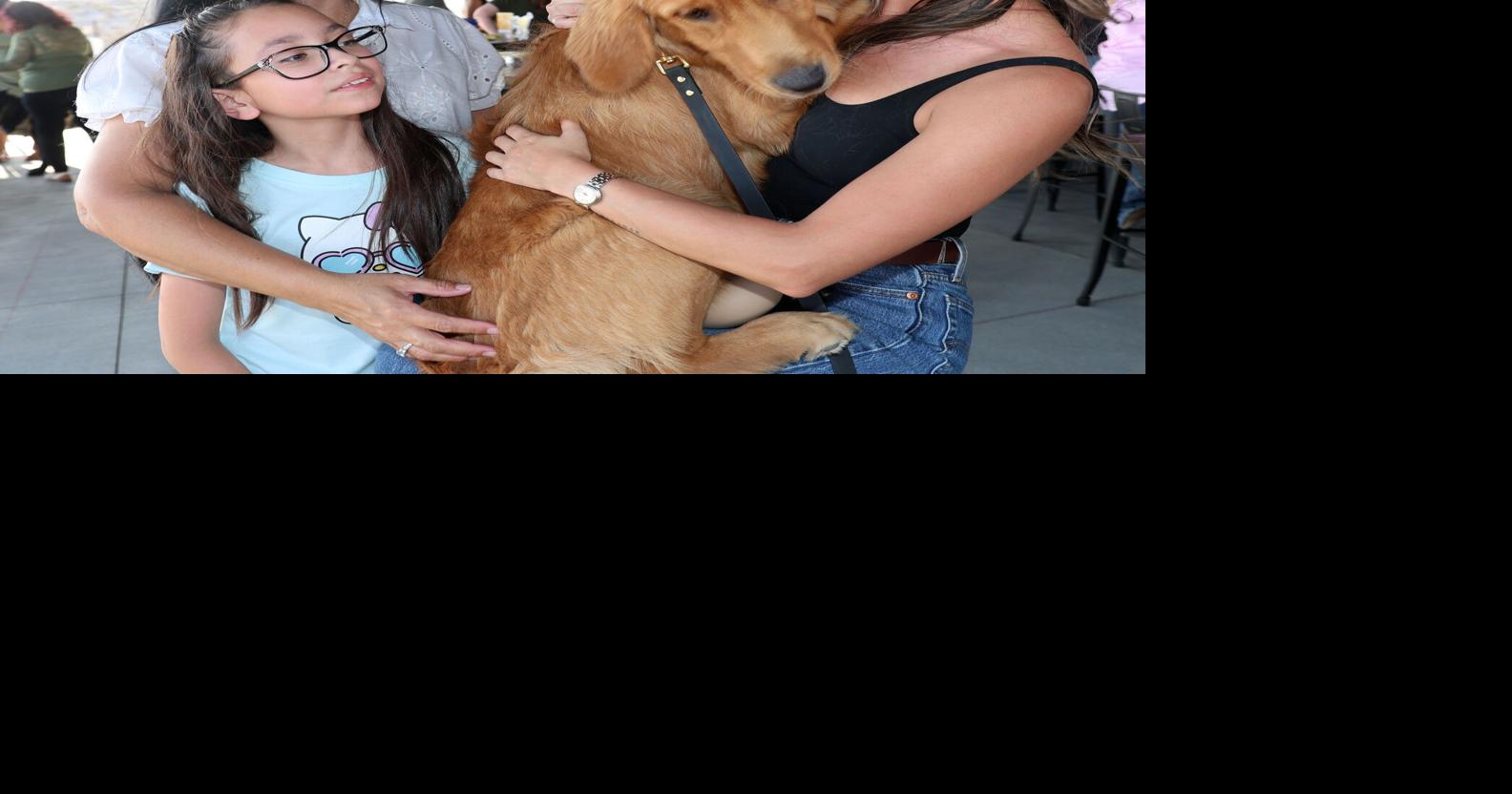 Photos: El Paso Inc.'s Best Pet Contest honors winners | Gallery ...