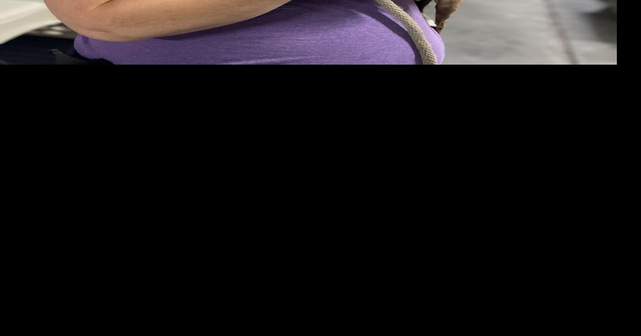 Dog Is My CoPilot transports 50 El Paso animals to new homes | Local ...