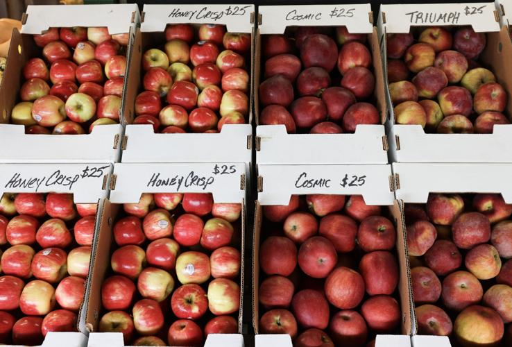 Más manzanas, más variedades en la cosecha de Washington este año ...
