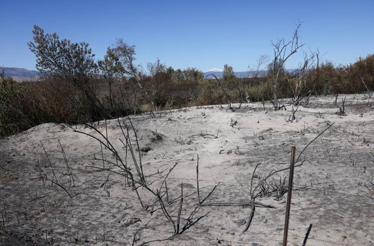 17 casas destruidas, 10 dañadas, fue el saldo del incendio Slide Ranch ...