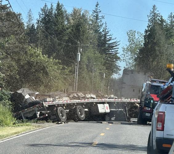 Millones de abejas escapan tras volcadura en WA | Noticias ...
