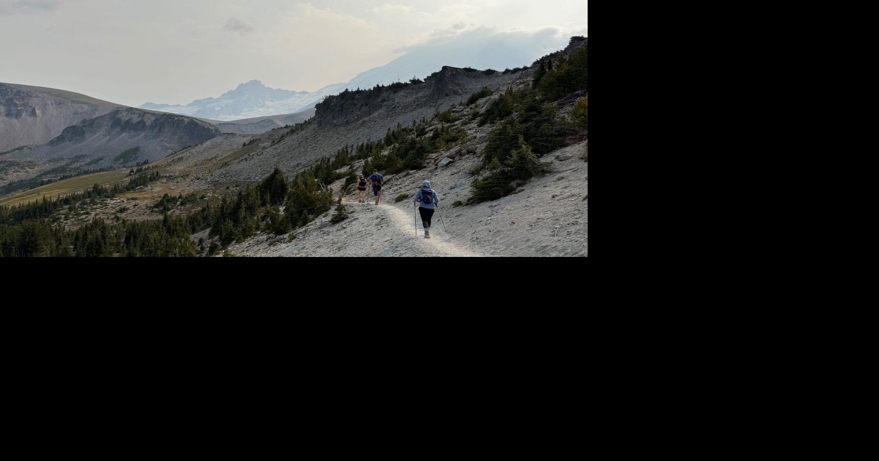 Cierran parte del sendero Wonderland del Monte Rainier debido a osos ...