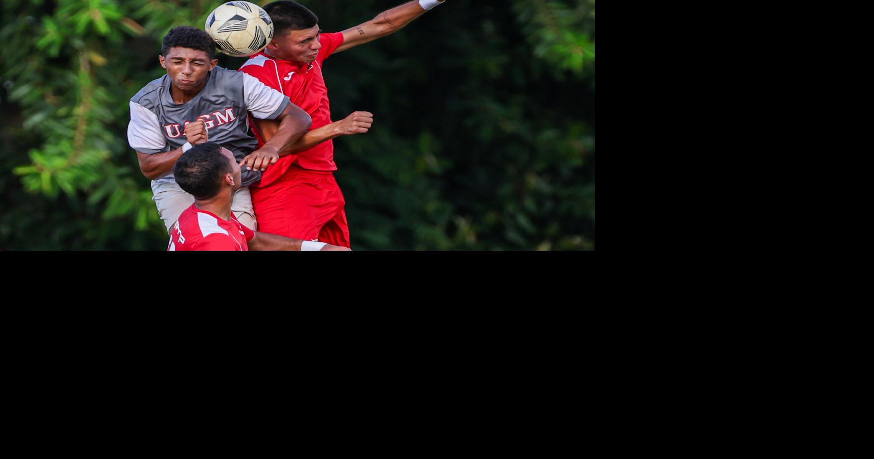Tigres de la Interamericana y Gallitos de UPR Río Piedras avanzan a la ...