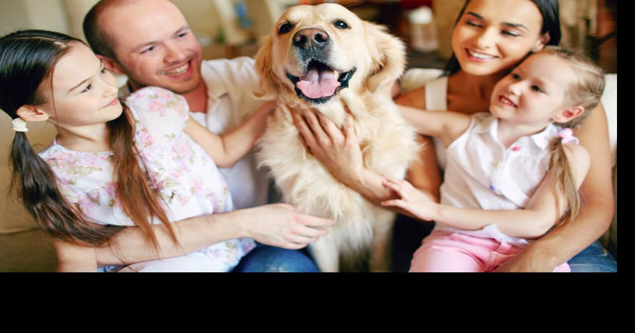 Prepárate bien para integrar una mascota a tu hogar | Cuidado de ...