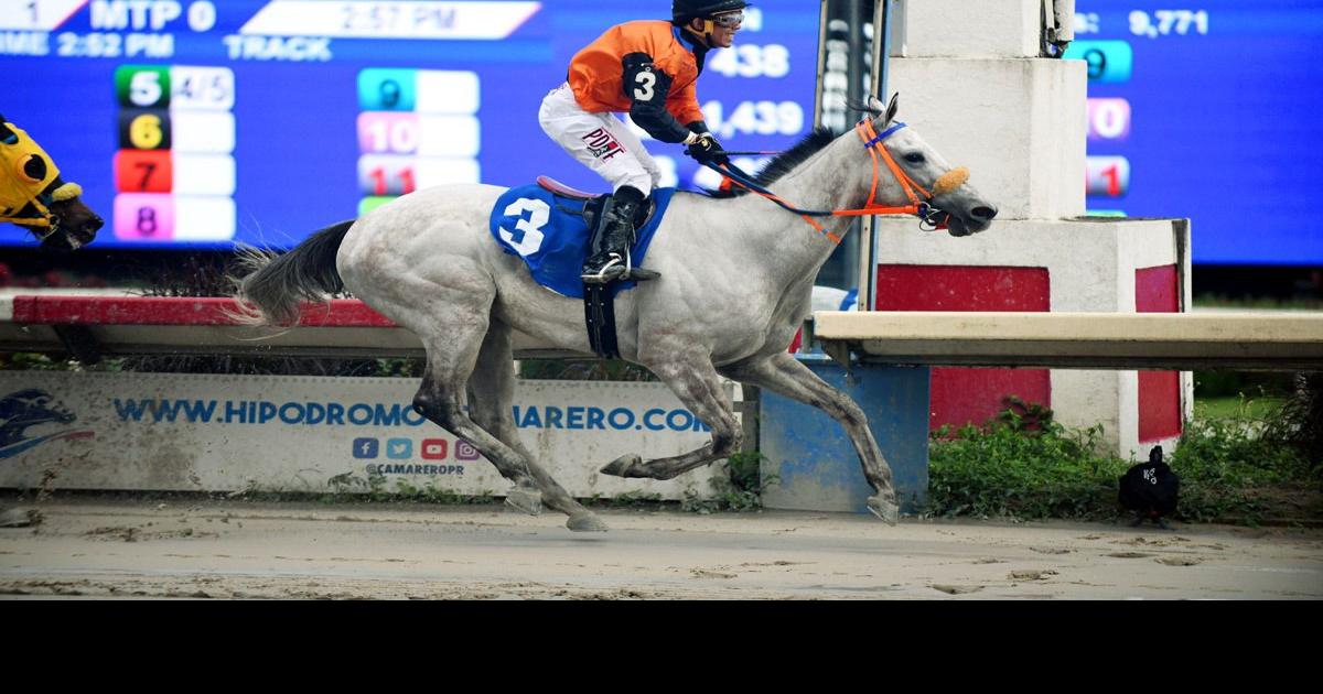 Alexis Centeno se apunta su primera victoria | Deportes | elvocero.com