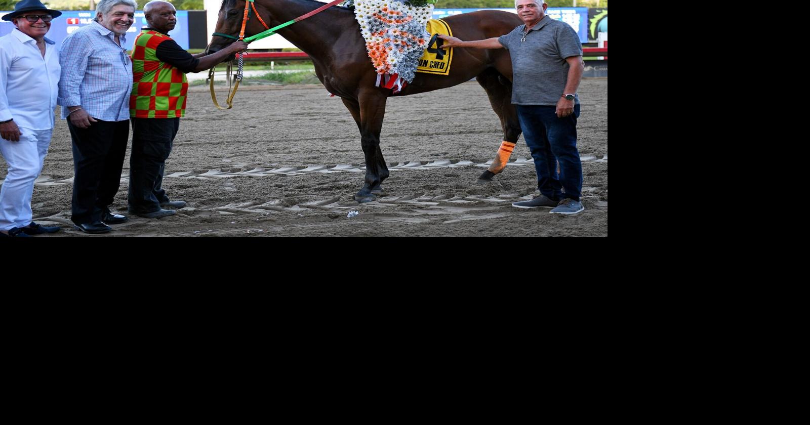 Don Cheo domina la Copa Gobernador en el hipódromo Camarero | Hipismo ...