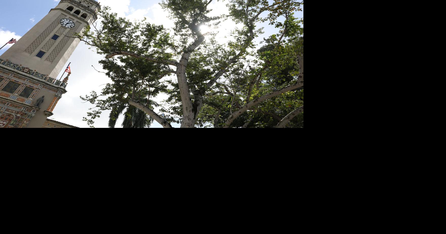 Surgen ocho nombres para sustituir a Jorge Haddock en la presidencia de ...