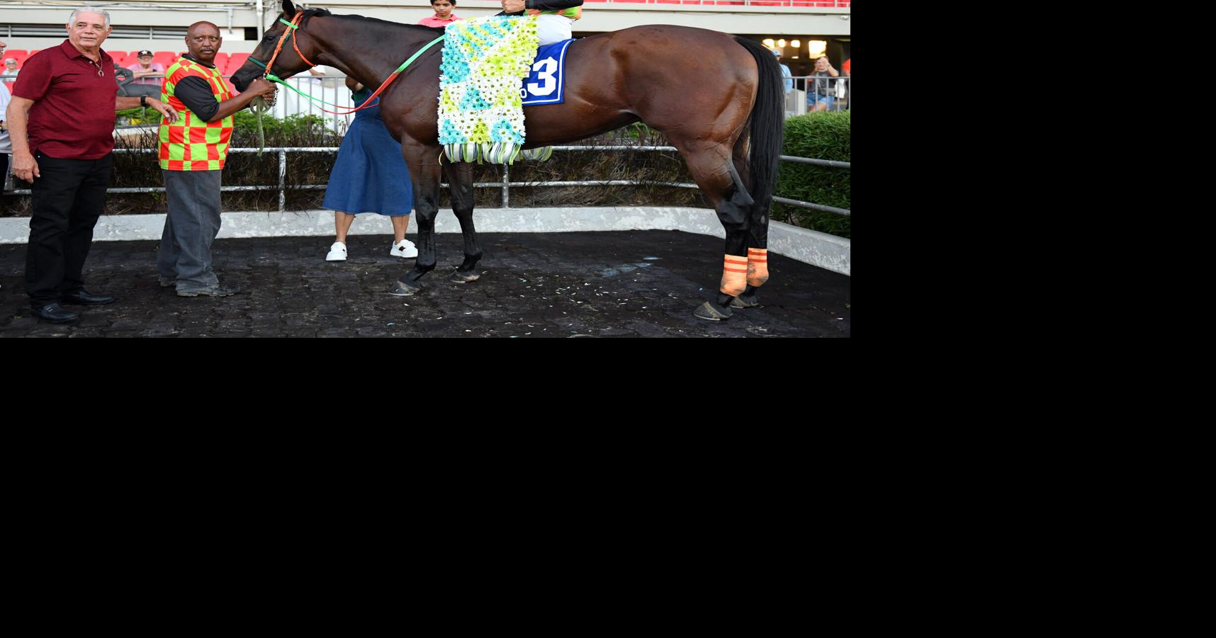 Gran victoria clásica de Don Cheo | Deportes | elvocero.com