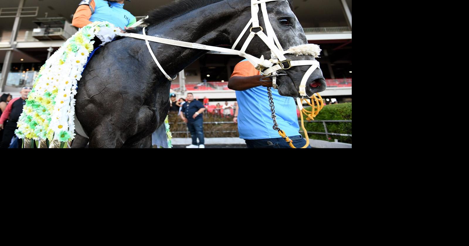 Sorpresa de Don Ico T. en el clásico Jorge Washington | Hipismo ...