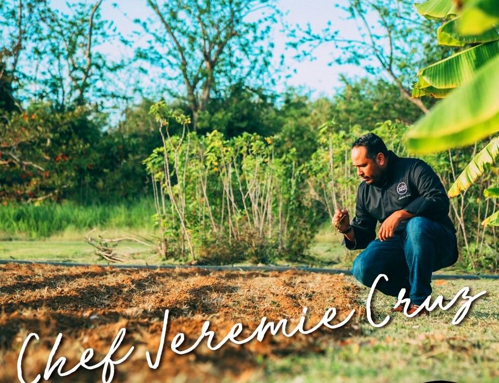 Defienden sus cocinas | Actualidad | elvocero.com