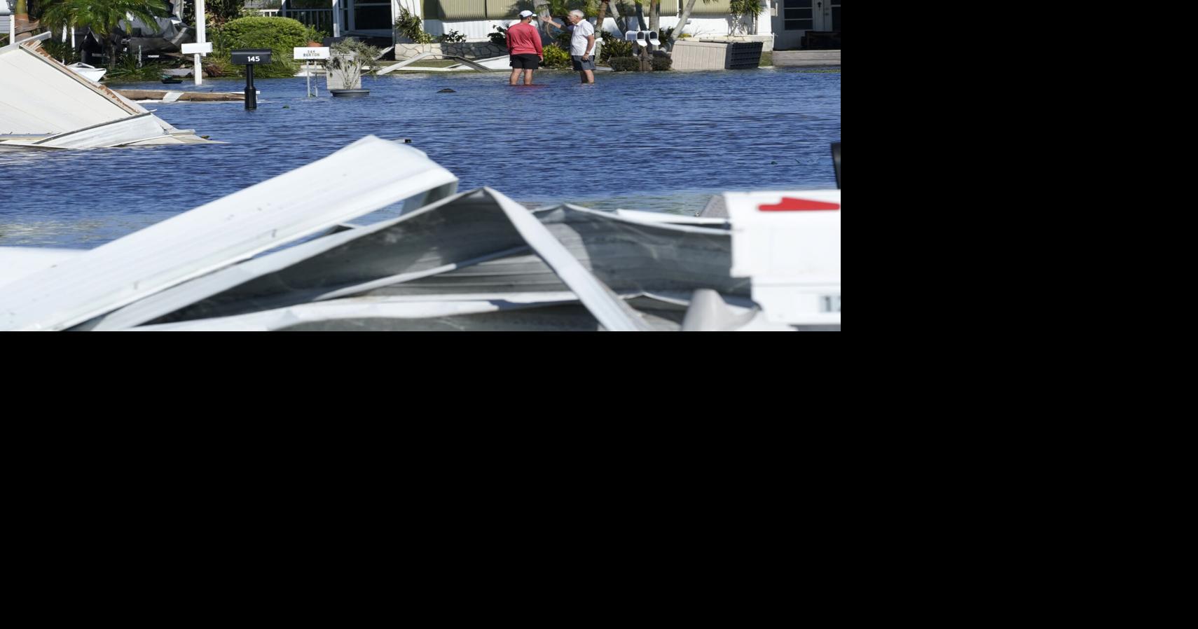 Captan en video a un "tiburón joven" en un jardín inundado de Florida ...