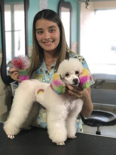 Federales y estatales radicarían cargos por caso de Keishla Rodríguez ...