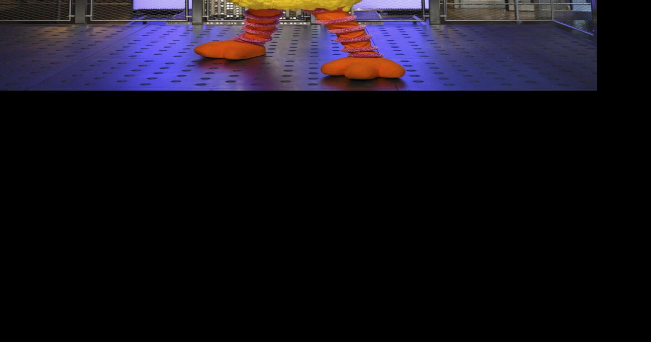 La reacción de Big Bird: la vacuna contra el covid-19 hace que se vea ...