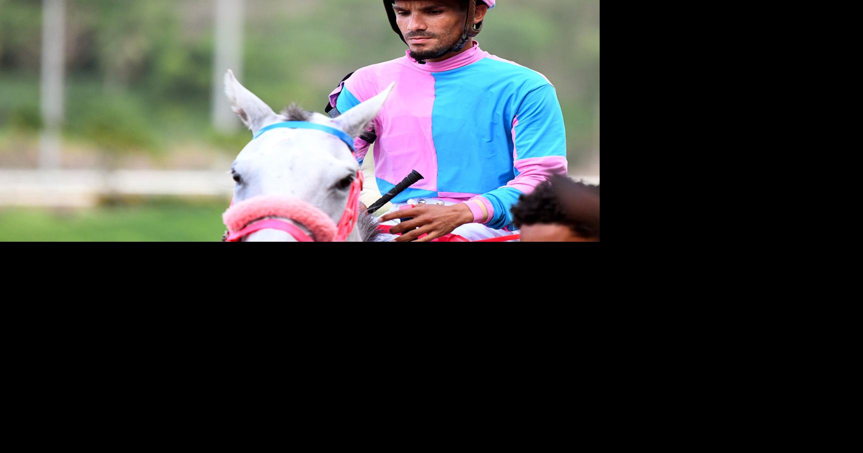 Favorito Timonero en el cierre del Pool de seis | Deportes | elvocero.com