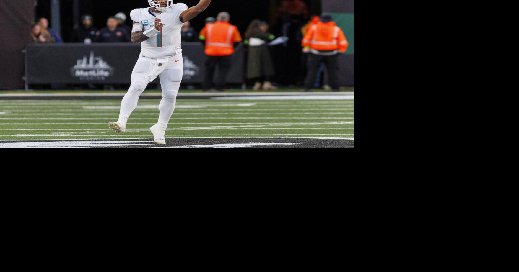 Los Dolphins de Miami esperan dejar atrás la ‘macacoa’ del último ...