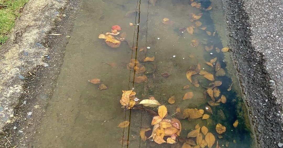 Afectados por una cuneta tapada en urbanización de Cidra | Comunidad | elvocero.com